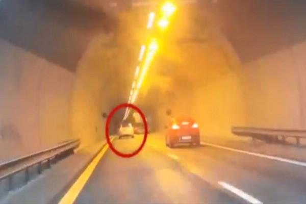 Watch Teslas Autopilot Feature Saves Life Of A Drunk Man Behind The