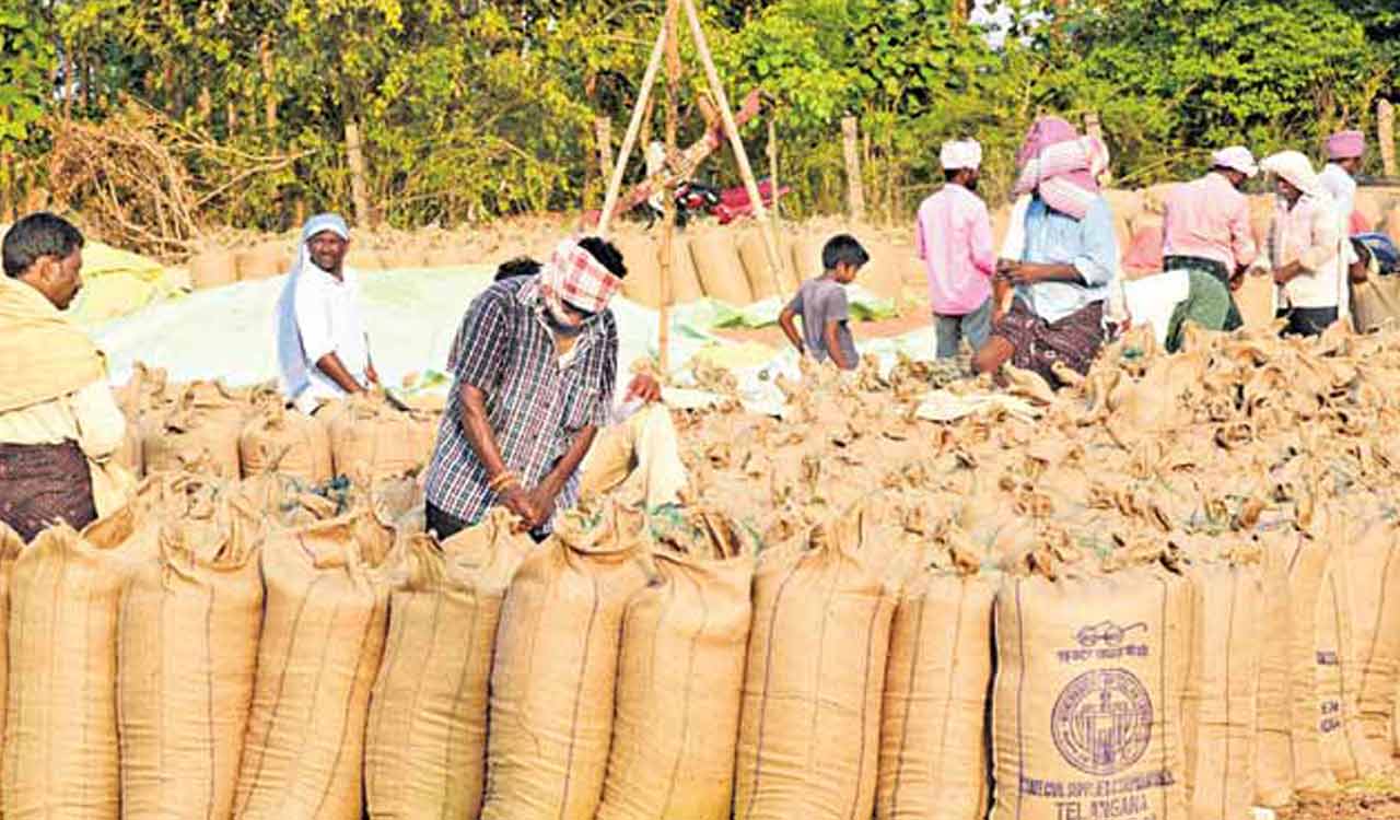Andhra Pradesh govt increases paddy purchase bags limit-Telangana Today Andhra Pradesh govt increases paddy purchase bags limit-Telangana Today