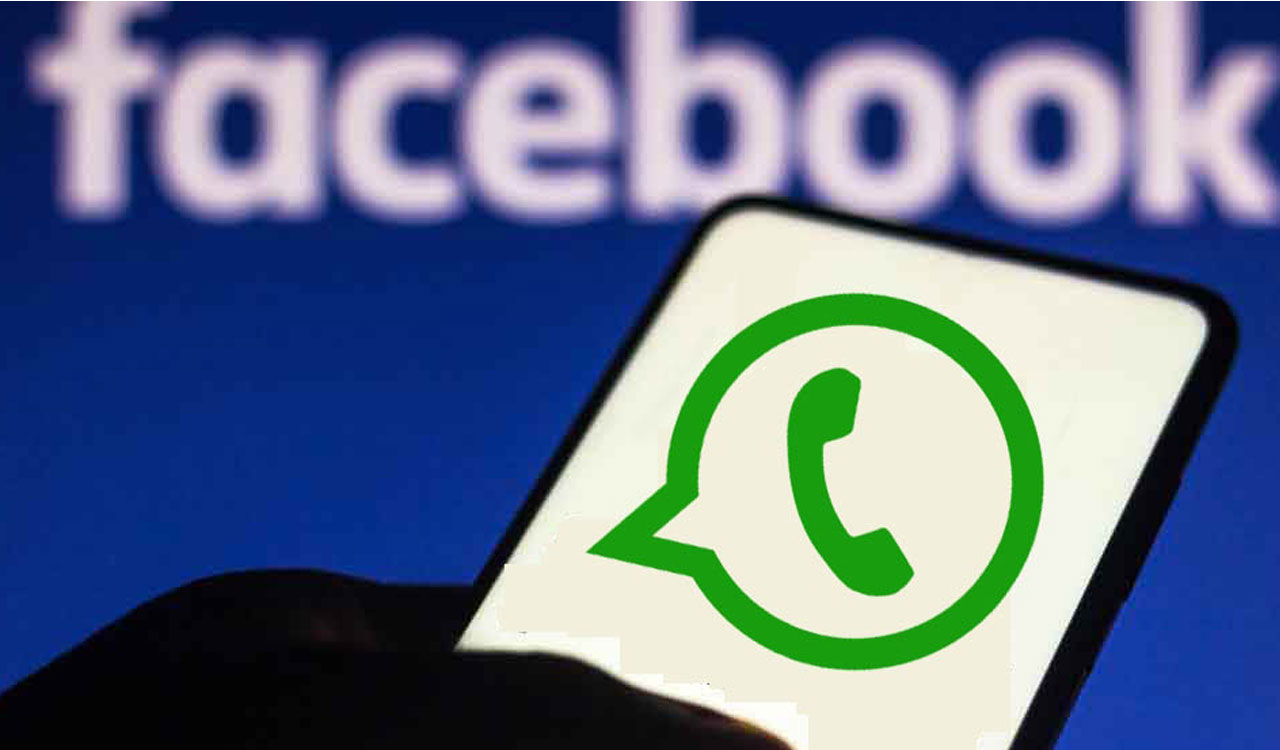 WhatsApp rolling out large stickers on Windows beta-Telangana Today WhatsApp rolling out large stickers on Windows beta-Telangana Today