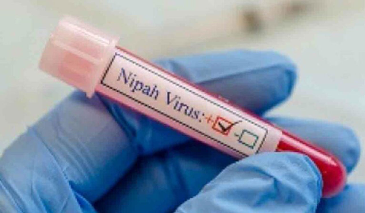 Tight vigil at Karnataka and Tamil Nadu border checkposts due to Nipah ... Tight vigil at Karnataka and Tamil Nadu border checkposts due to Nipah ...