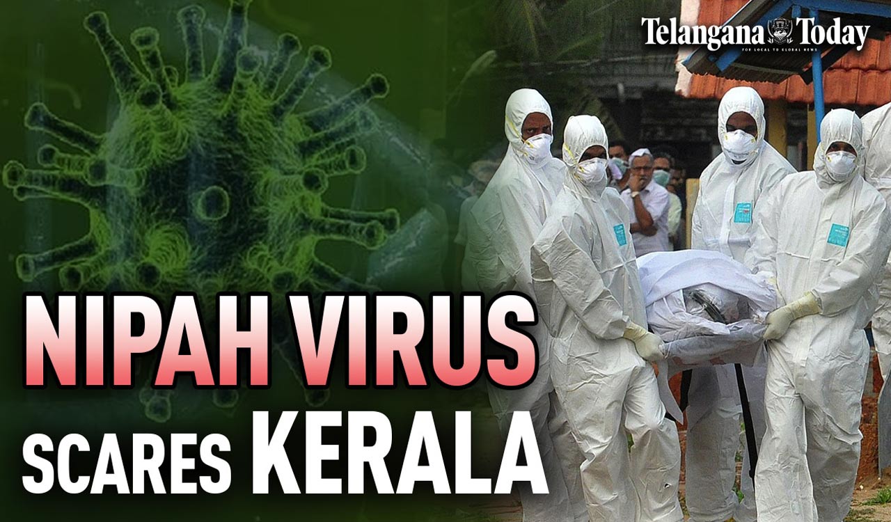 Nipah Virus Takes Two Lives In Kerala | Kozhikode On High Alert | Telangana Today - Telangana Today