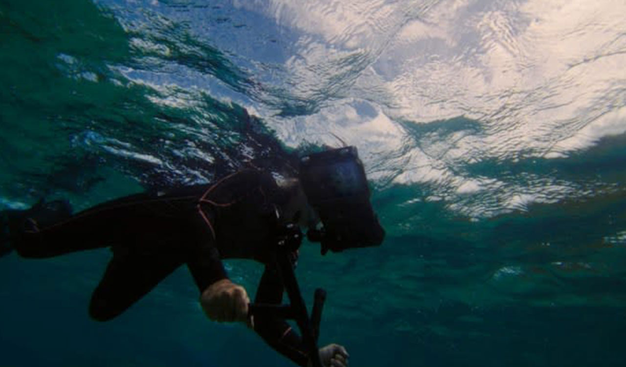 Samsung takes a step forward in coral reef restoration - Telangana Today Samsung takes a step forward in coral reef restoration - Telangana Today