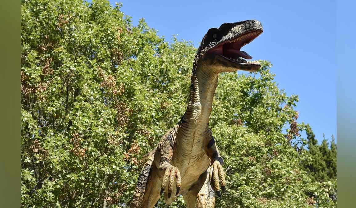 What was biggest dinosaur that ever lived? -Telangana Today What was biggest dinosaur that ever lived? -Telangana Today