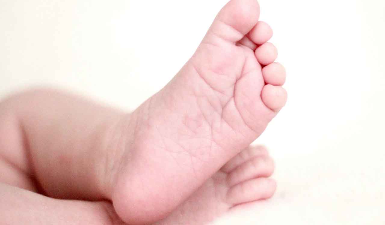 Newborn found abandoned at wayside eatery in Kerala’s Pathanamthitta ...